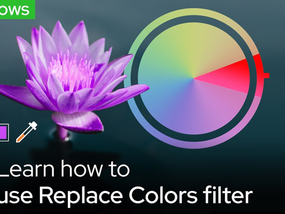 CorelDRAW Graphic Suite 2021 - Wordext Systems, Inc.